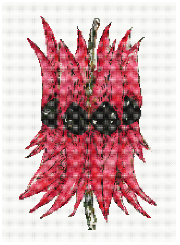 Sturt’s Jewel - Sturt's Desert Pea Cross Stitch Pattern – Craft Hatchery