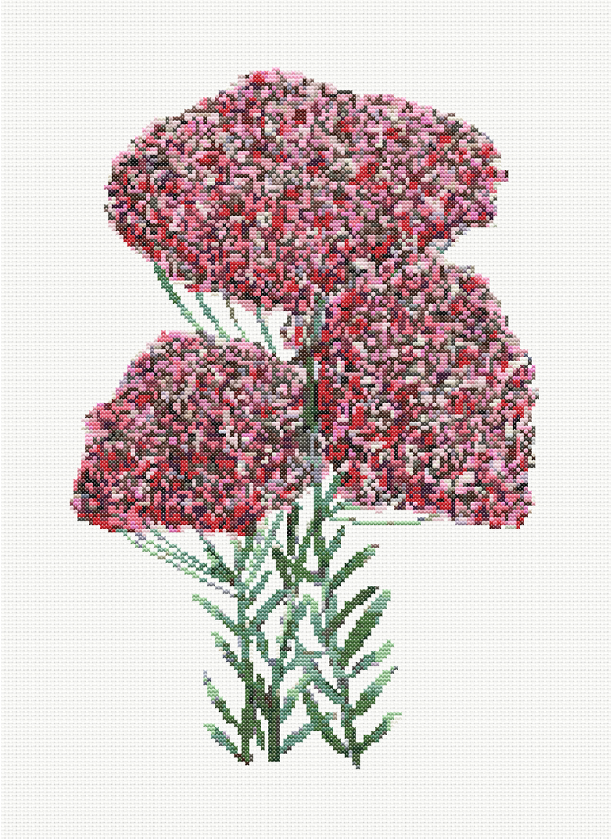 Petite Petals - Rice Flower Cross Stitch Pattern – Craft Hatchery